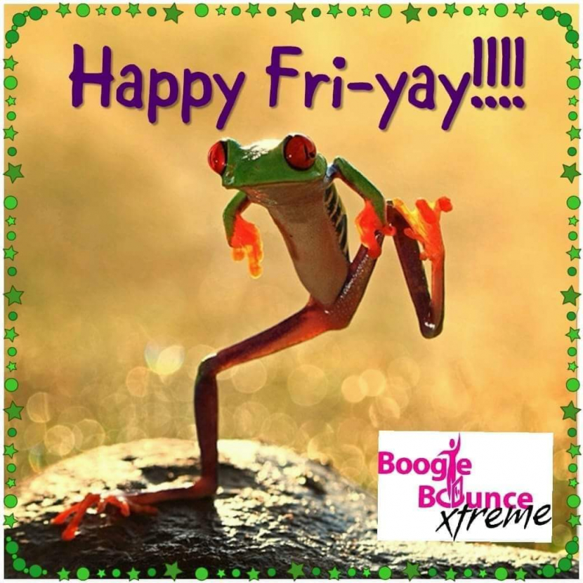 Blog : fitologystudio